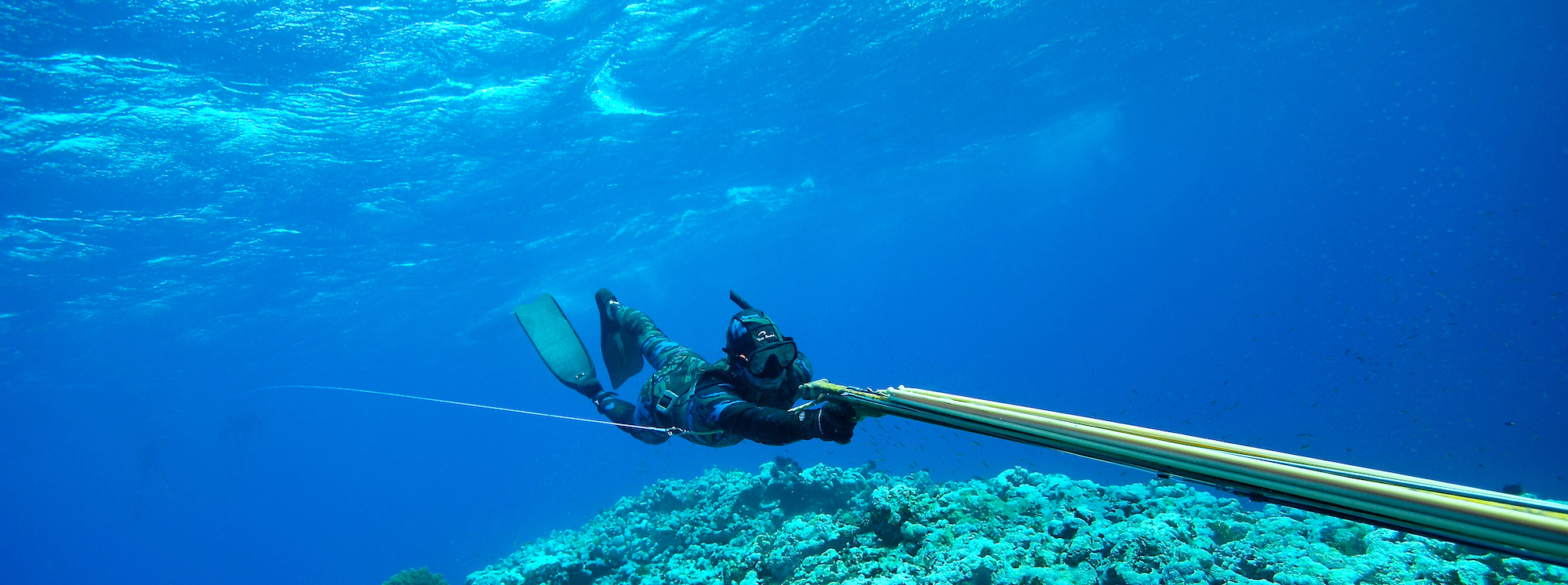 Spearfishing Australia – Dive Safe. Dive Hard. Dive Free.