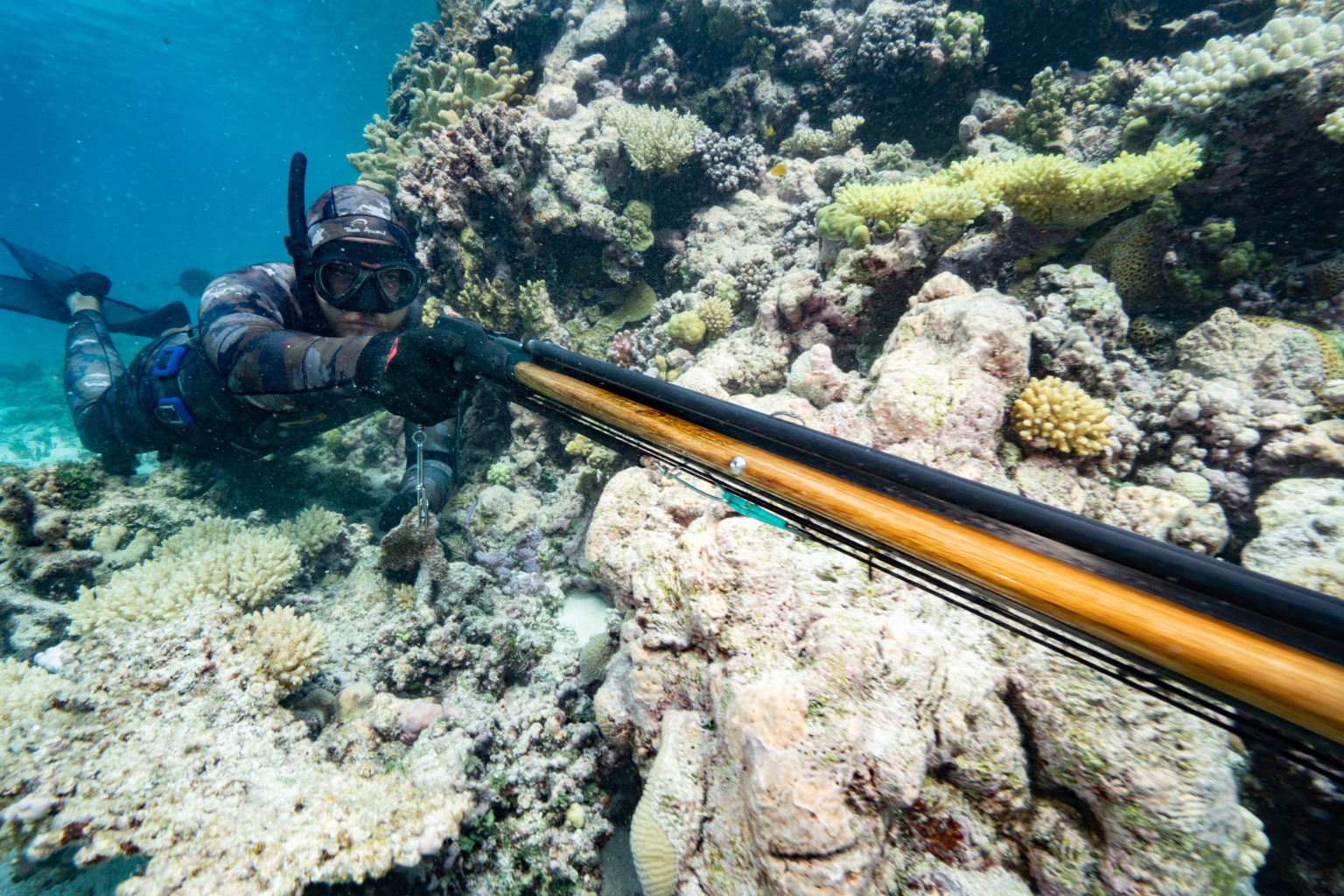 Open Cell Suits - Are They Worth The Investment? - Spearfishing Australia