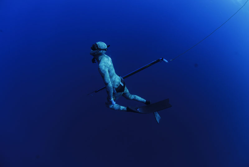 Open Cell Suits - Are They Worth The Investment? - Spearfishing Australia