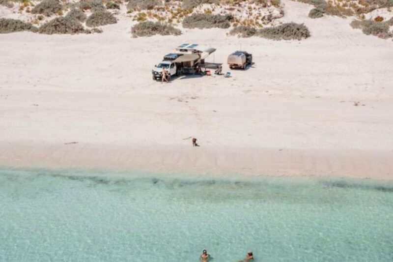 Best Places and Tips to Find Abalone in Australia - Spearfishing Australia